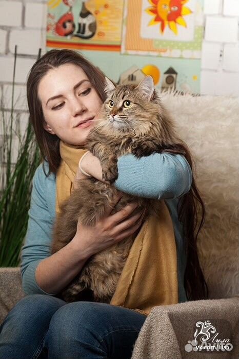 Пушинка в добрые руки