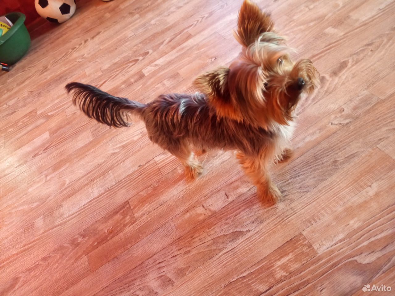 Вязка вес 1,6