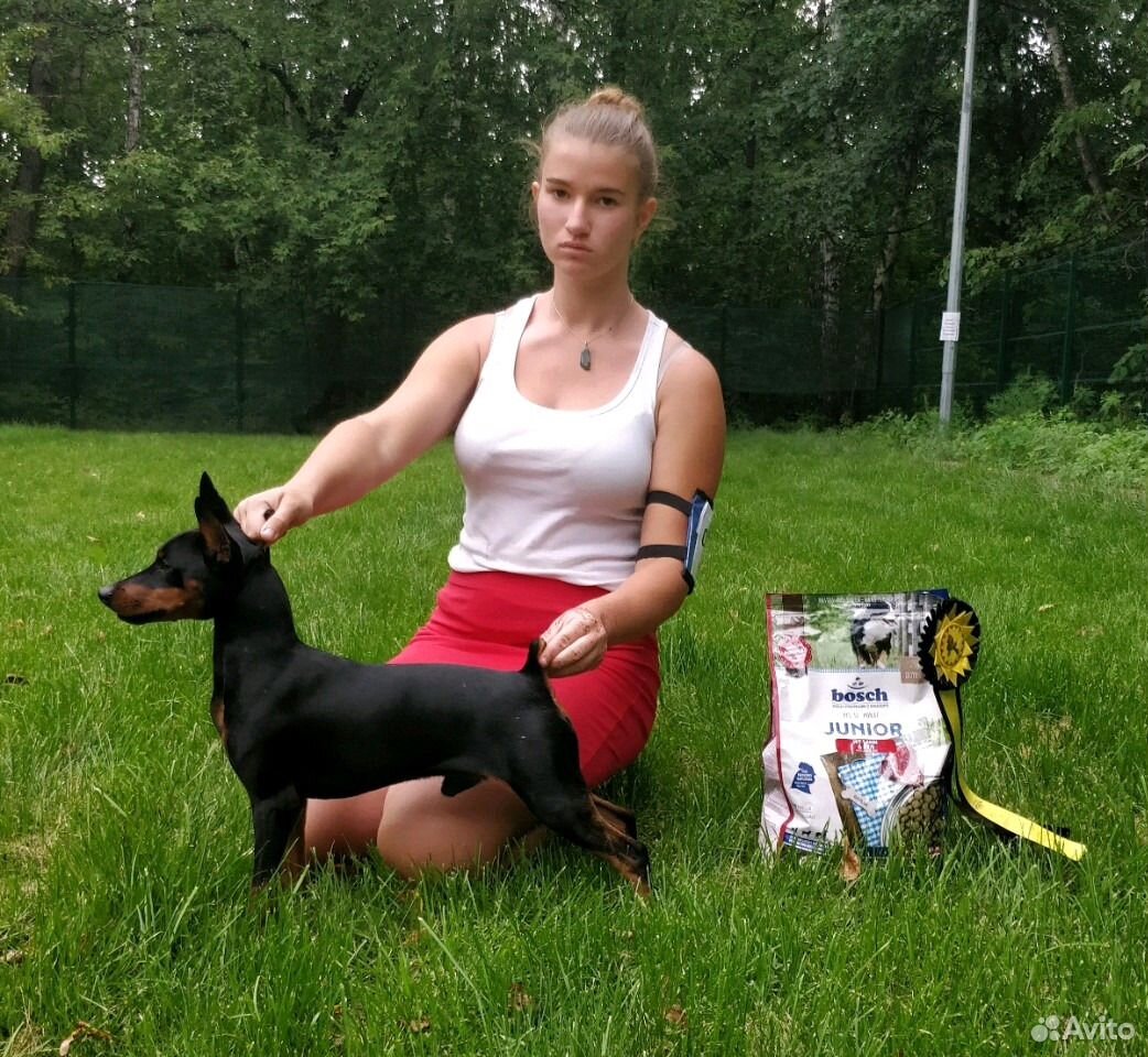 Царь Царей из Дневного Дозора