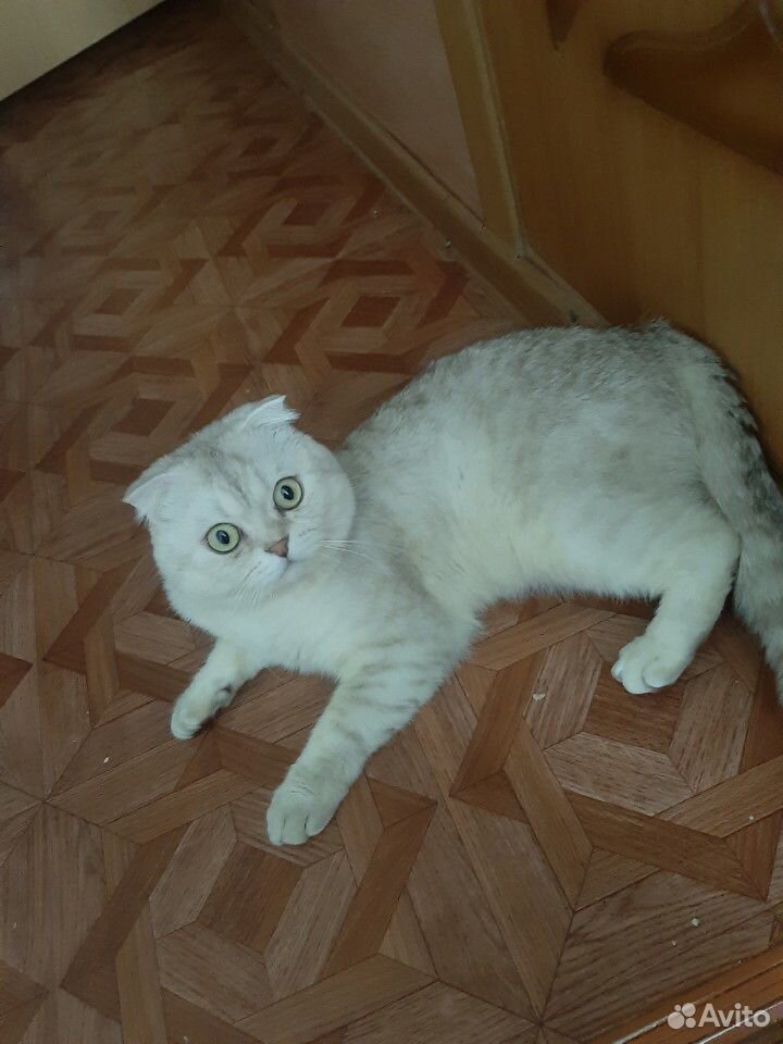 Шотландская вязка