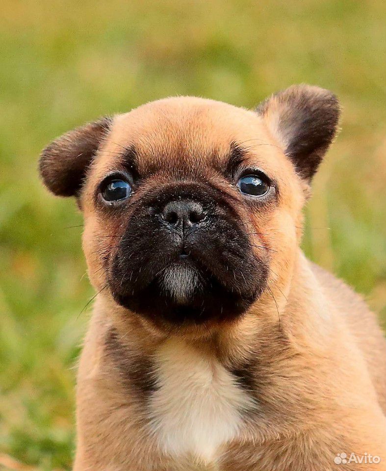 Очаровательное солнышко