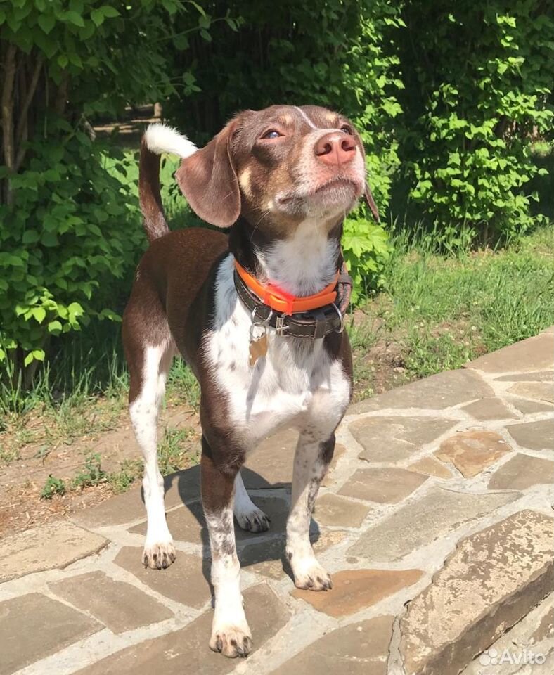 Ищем девочку