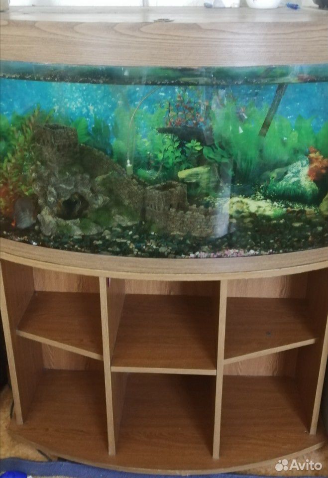 Аквариум