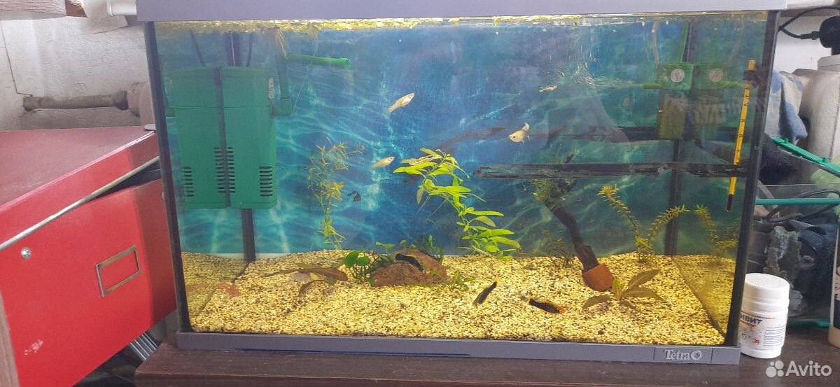 Аквариум Tetra 60л