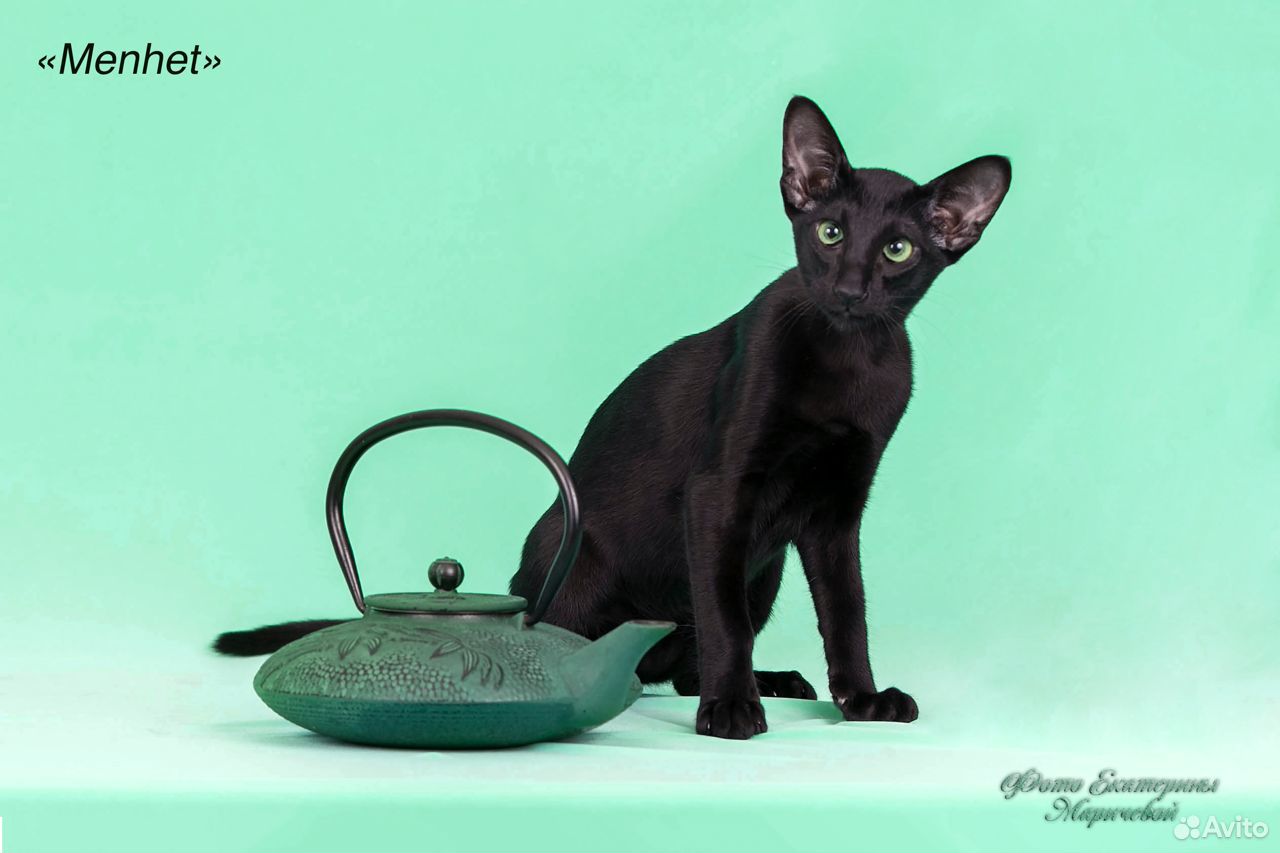 Чёрный принц