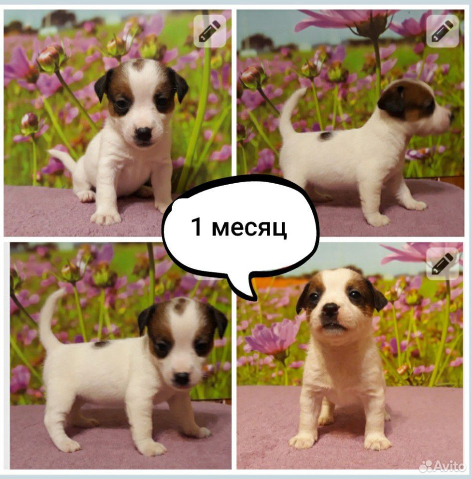 Малышка-милашка