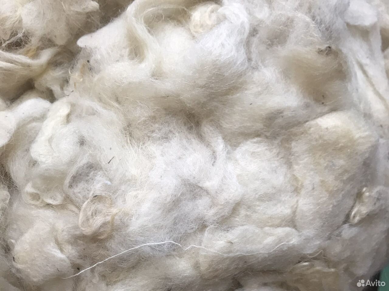 Шерсть овечья