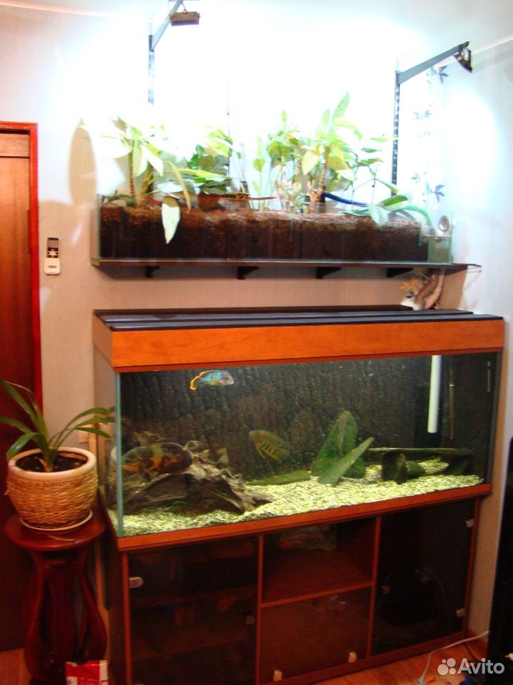 Аквариум