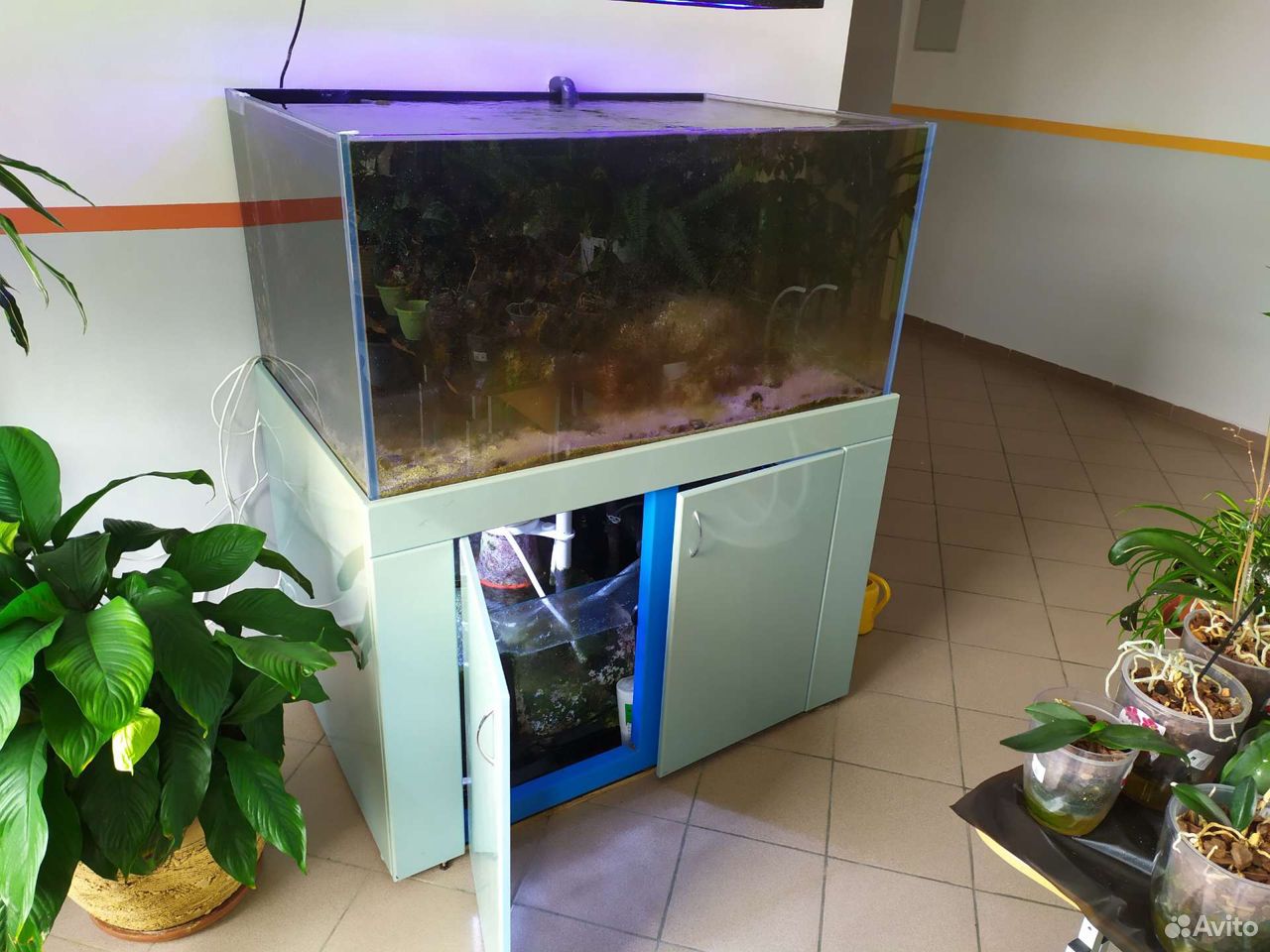 Аквариум морской