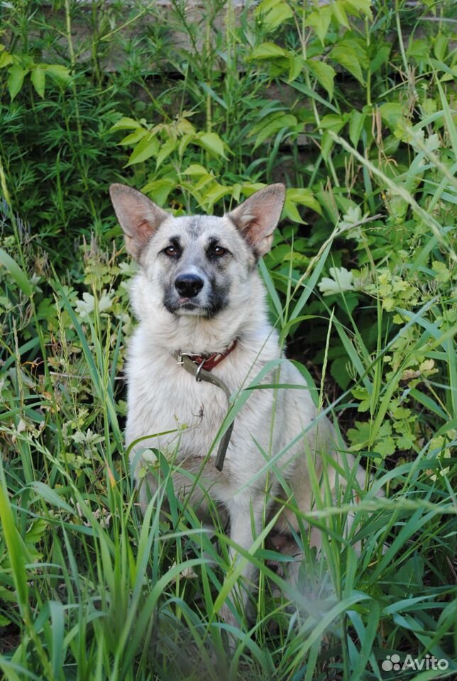 В надежные руки