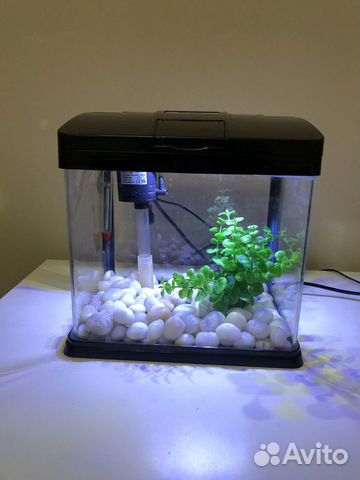 Аквариум