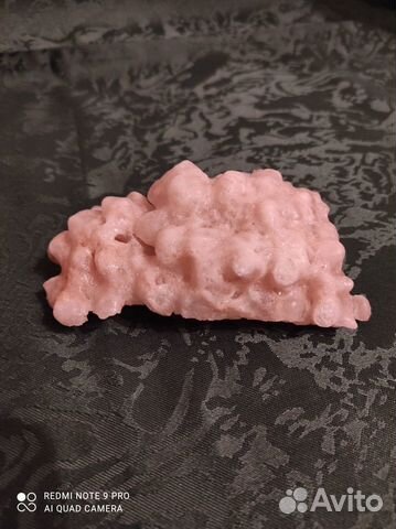 Коралл для аквариума