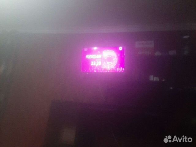 Телята бычок и телочка