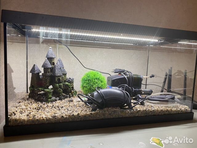 Аквариум