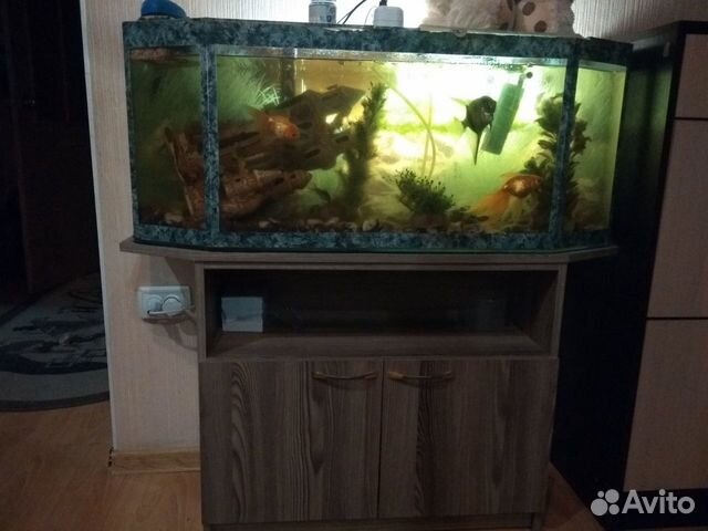 Аквариум с тубой и рыбкамы