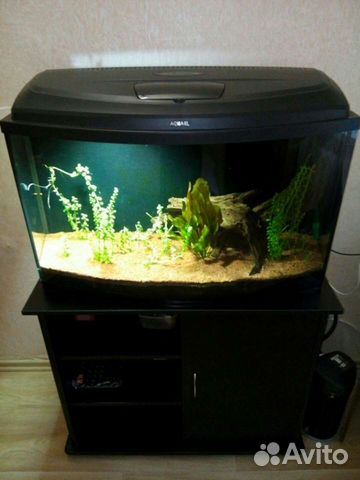 Аквариум aquael 120л С тумбой