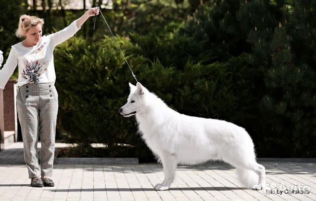 Открыто предворительное бронирование