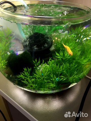 Аквариум жилой комплекс