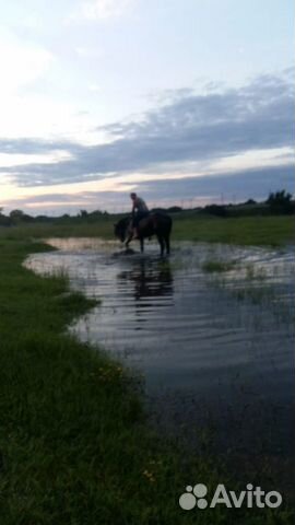 Покрытие кабыл