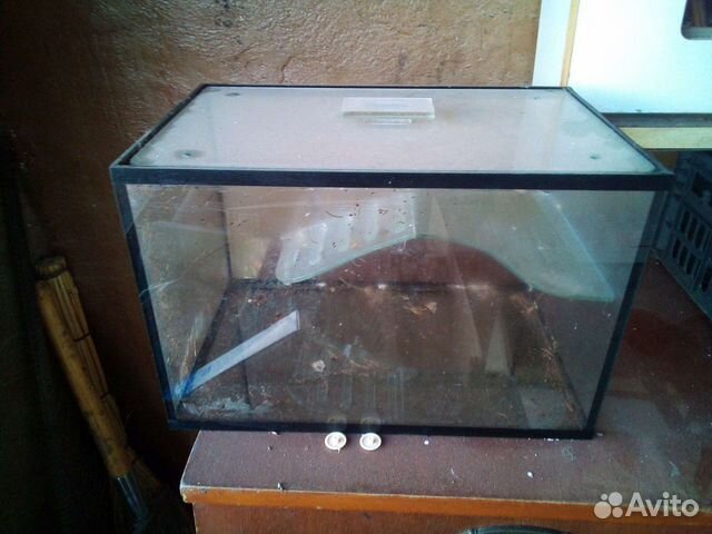 Аквариум черепашник