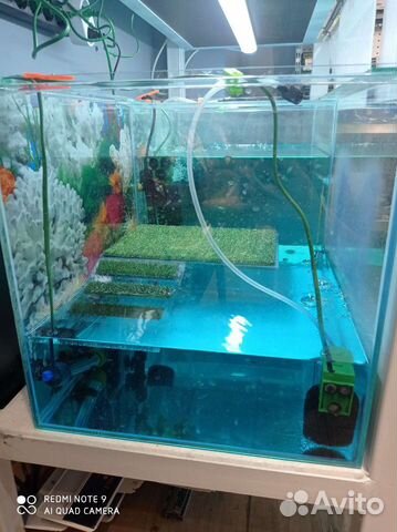 Черепашник