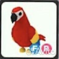 Петомец в адопт ми, фр попугай