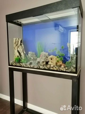 Аквариум 240 литров на металлической основании
