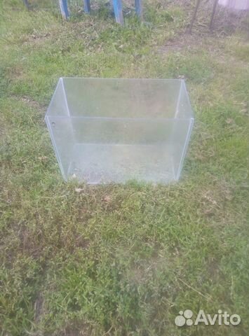 Черепашка бесплатно