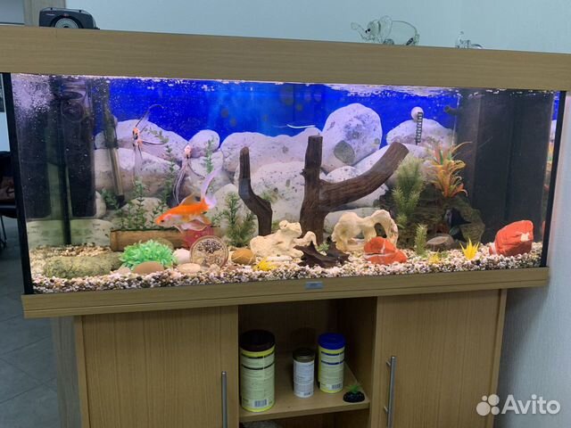 Аквариум Juwel 240л