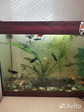 Аквариум