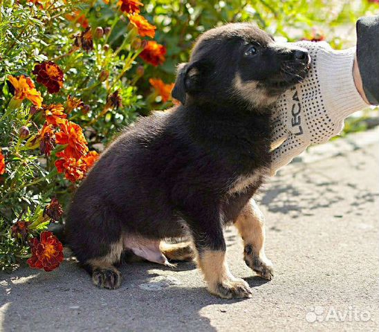 Юмыш ждет свою семью