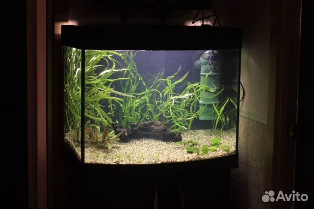 Отдам даром аквариум