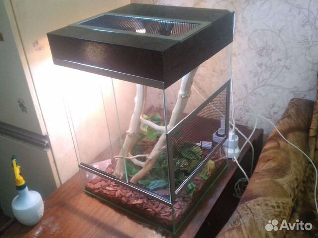 Терариум для хамелона