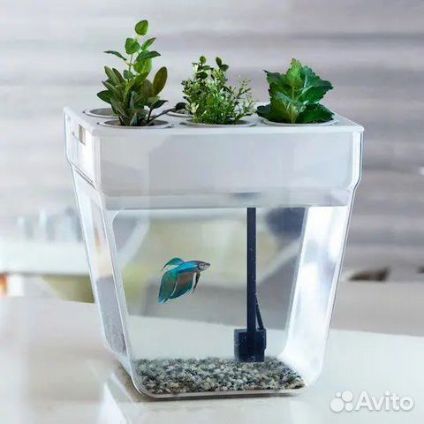 Акваферма AquaFarm