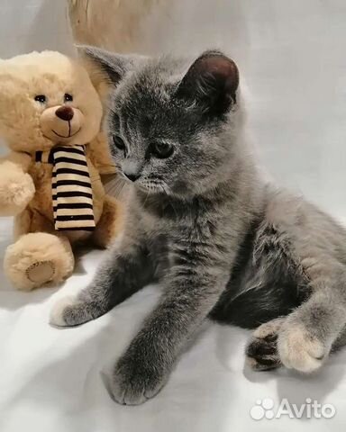 Великолепная