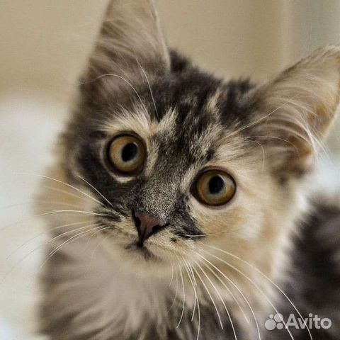 Малышка Анечка ищет добрую семью