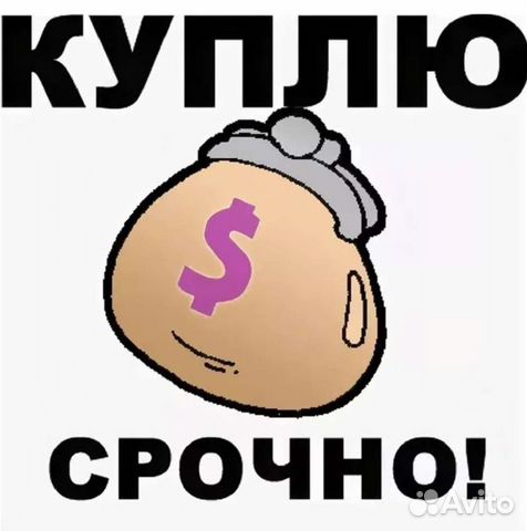 Куры