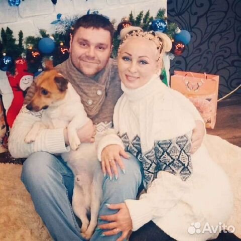 Вязка джек рассел терьер