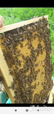 Https:/youtu.be/cvzbnmuheha