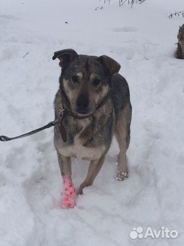 Москва,Перово