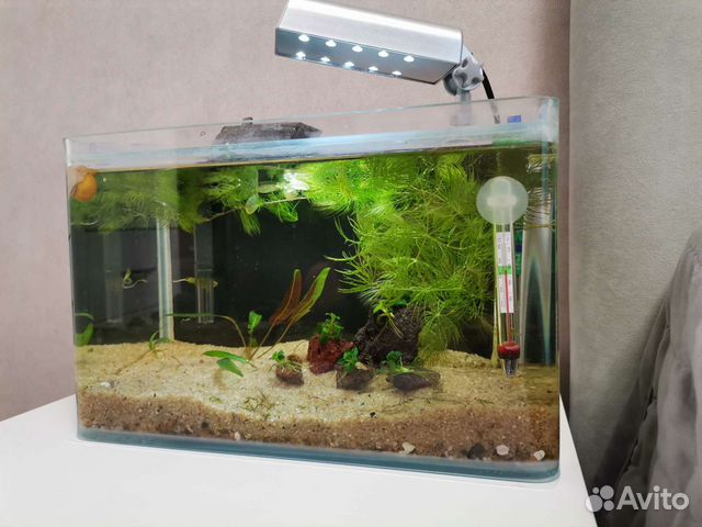 Аквариум