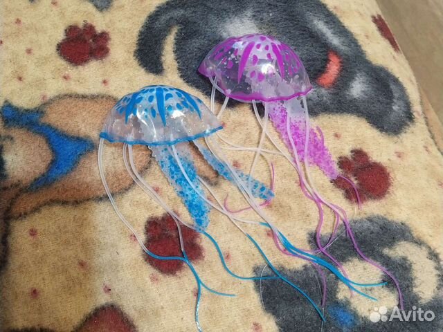 Медуза для аквариума