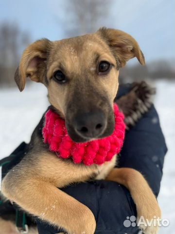 Заберите пока не потеряла надежду на друга
