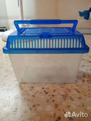 Аквариум (переноска)