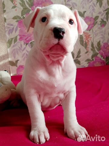 Девочка в тяжёлом типе