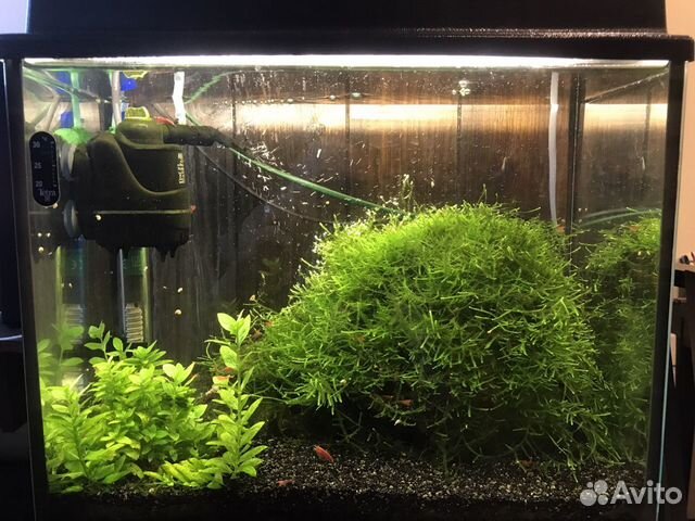 Аквариум 20л