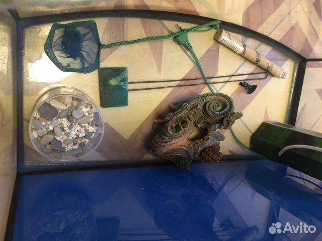 Аквариум 100 литров