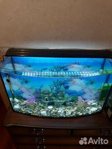 Аквариум полный комплект с рыбкамы