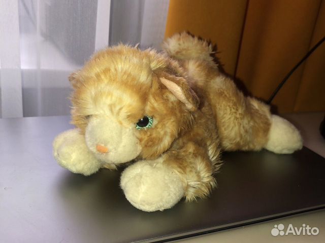 Милый котик по имени Лохматик