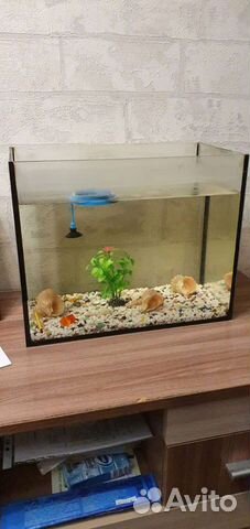 Аквариум